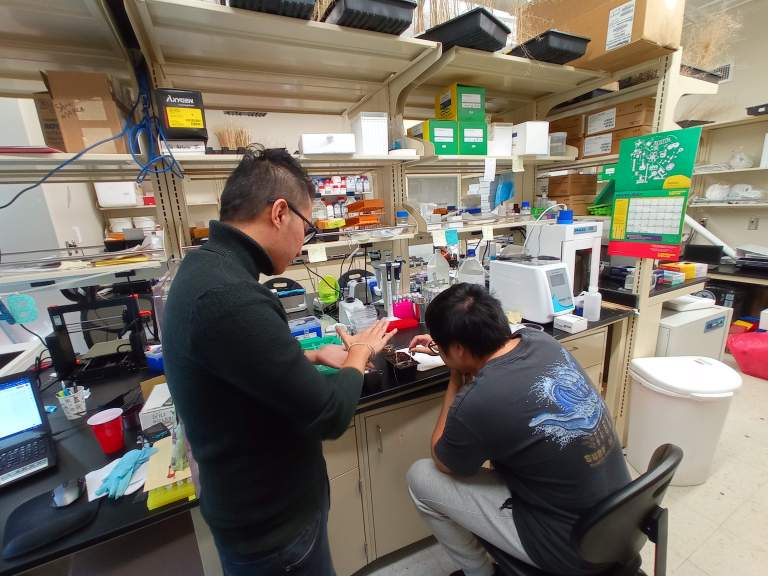 Research in Qiu Lab – Qiu Laboratory at Ole Miss