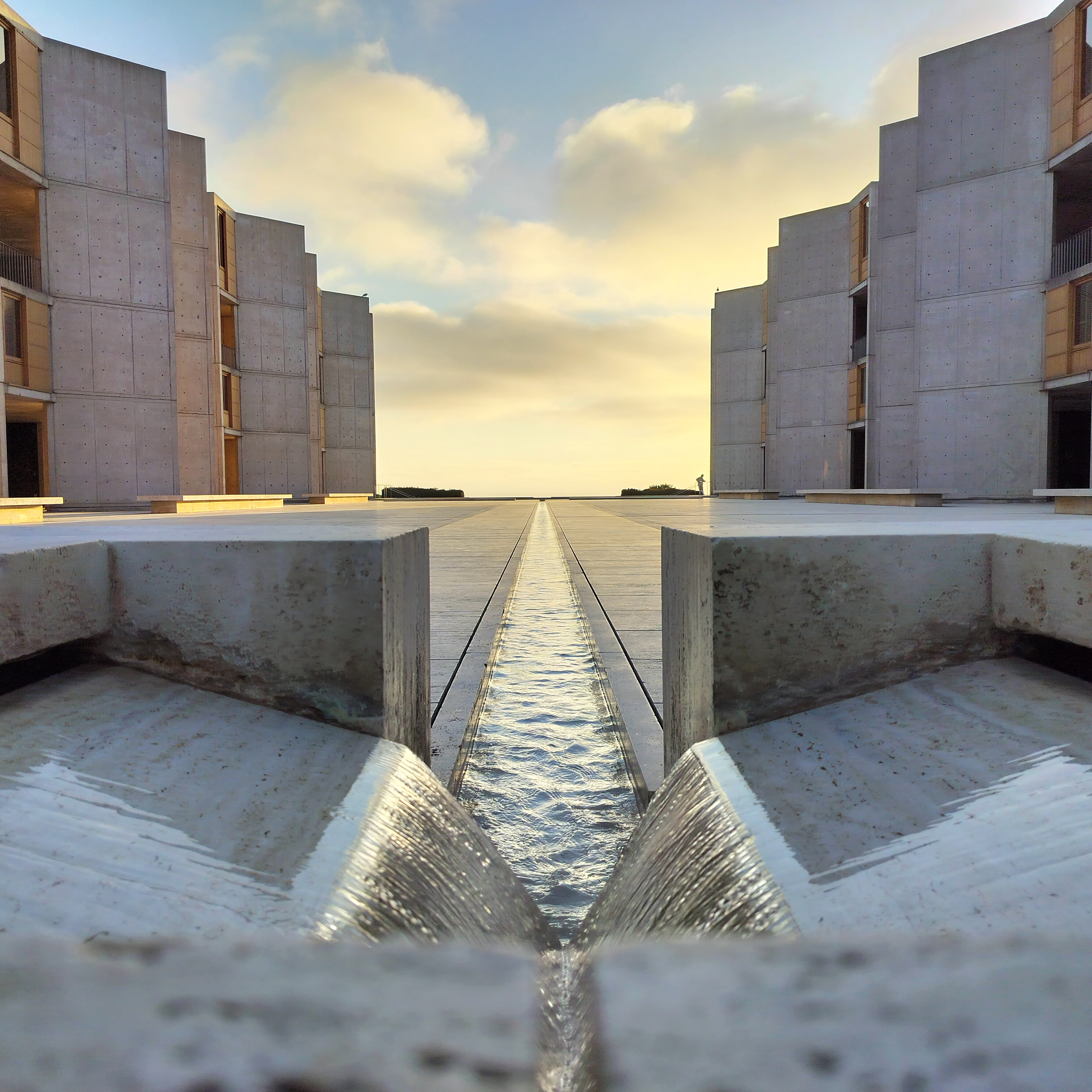 Conferences – Qiu Laboratory at Ole Miss